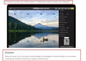 7 Best Dictation Software of 2024 (Speech to Text Tools Ranked)