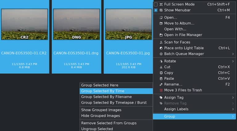 11 Best Photo Management Software of 2023 (Ultimate Guide)
