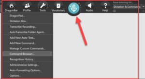 7 Best Dictation Software of 2024 (Speech to Text Tools Ranked)