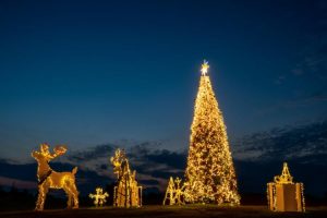 The 350+ BEST Night Captions for Instagram (New 2024 Guide)