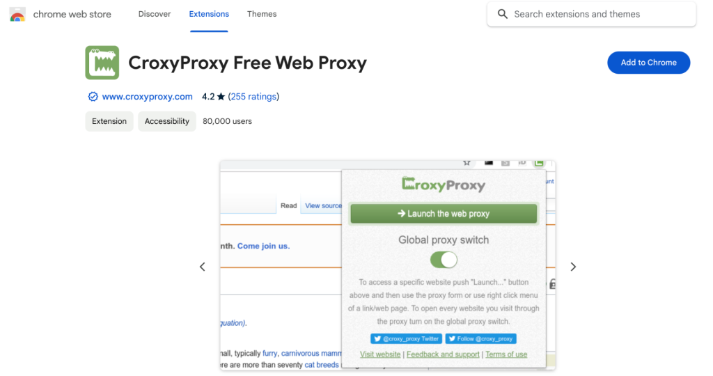 What is CroxyProxy YouTube? (Get Videos & WhatsApp 2024)