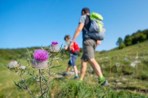 The 350+ BEST Mountain Captions for Instagram (2024 Guide)