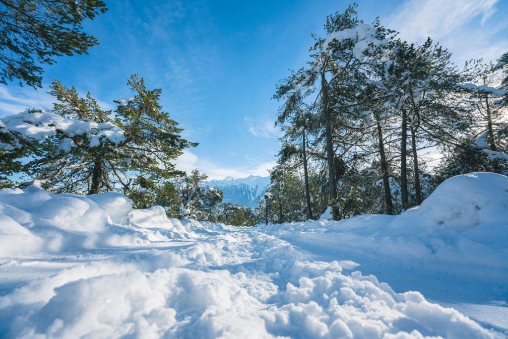 The 357 BEST Snow Captions for Instagram (New 2024 Guide)
